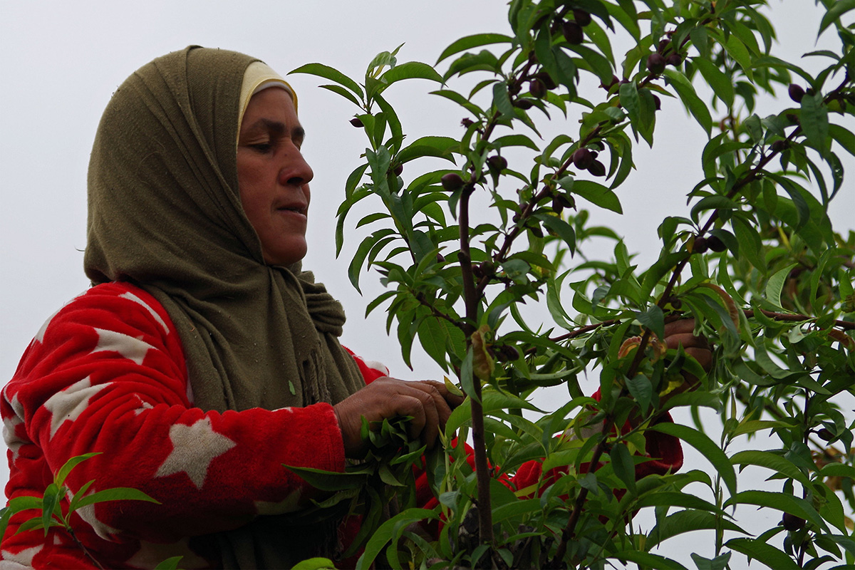 The Benefits of Collective Bargaining for Women: A Case Study of ...