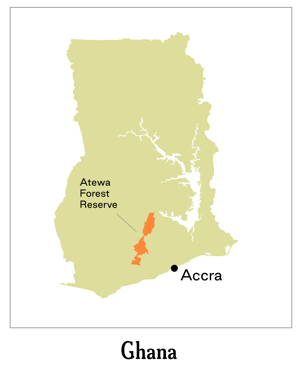 Endangered Eden: The Fight to Protect Ghana’s Atewa Forest - Ford ...